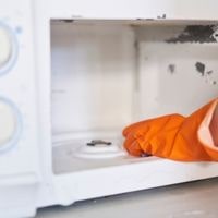 How To Get Fish Smell Out Of Microwave