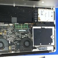 Signs Of Ant In Laptop (How To Keep Them Away From Laptop)