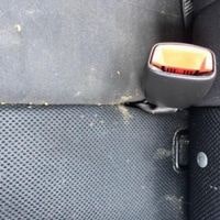 Little Black Bugs In Car (Easy Ways To Get Rid Of Them)