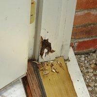 Drywall Signs Of Termites (How To Get Rid Of Them) - Signs