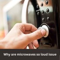 Why Are Microwaves So Loud [Here's Why]